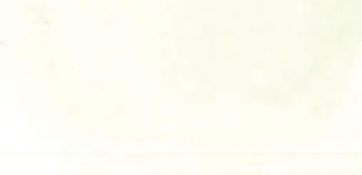 No.101 Gofun white – Bornette